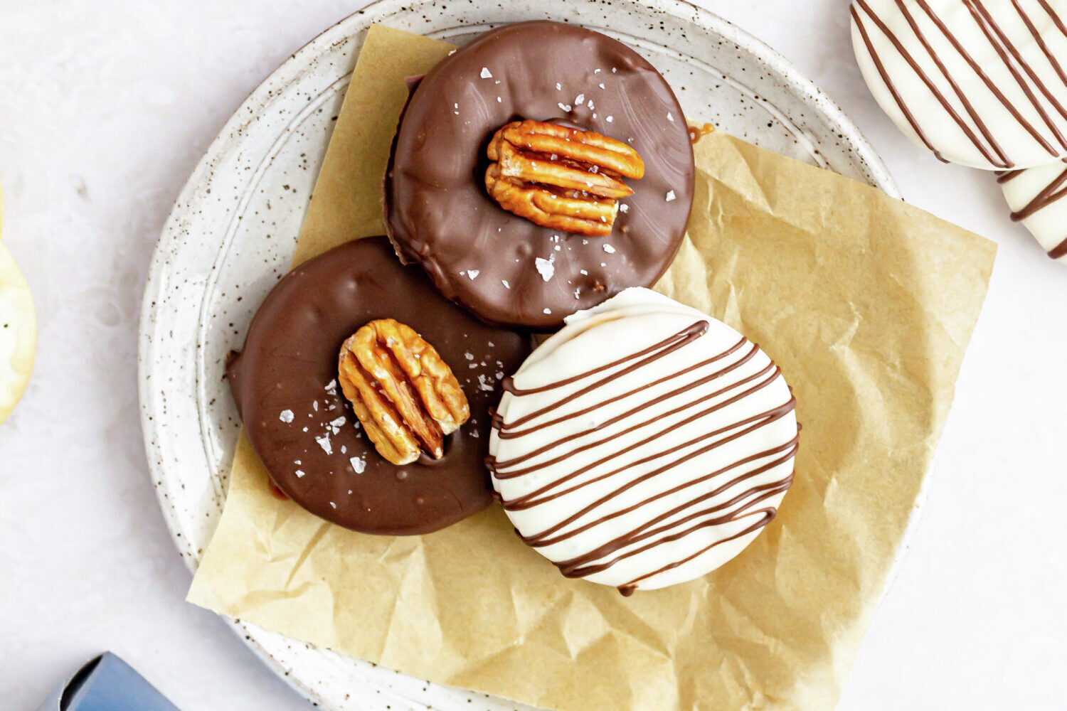 Turtle Crackers: | Wellington Crackers